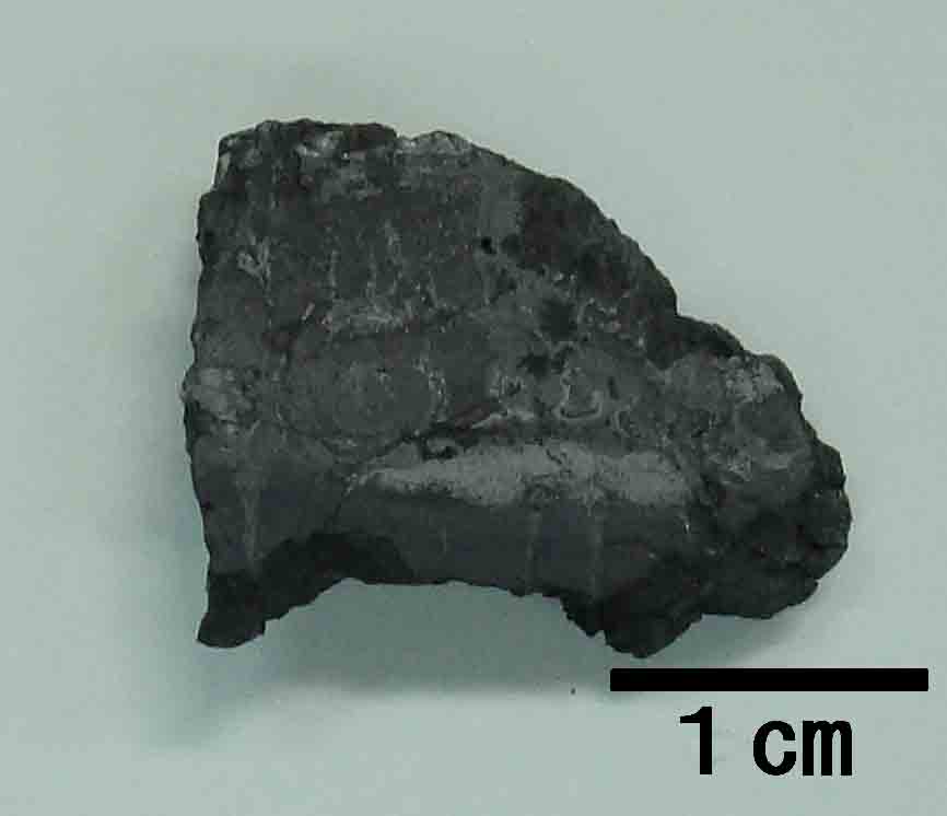 二酸化マンガン鉱物 轟石 manganese dioxide minerals todorokite
