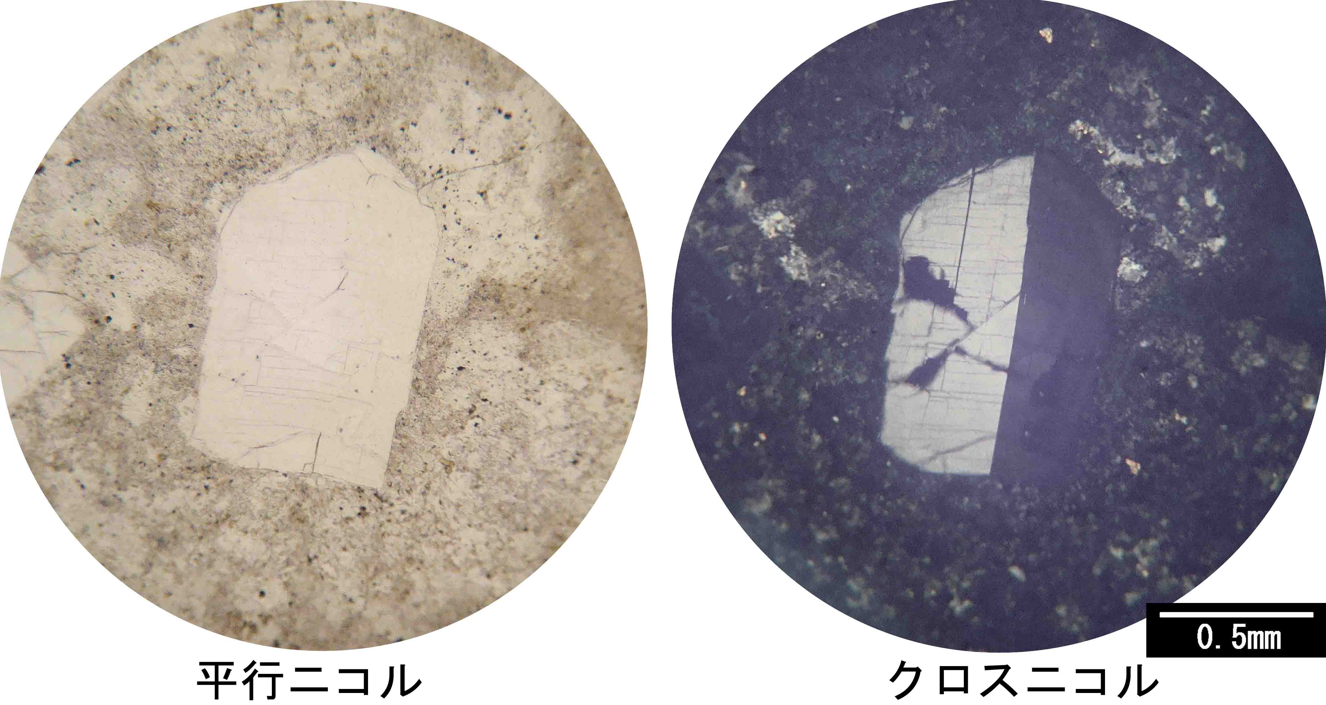 アルカリ長石 alkali feldspar